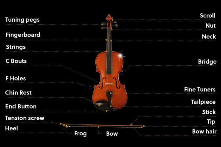 Violin Lessons For Beginners - How To Choose A Violin?